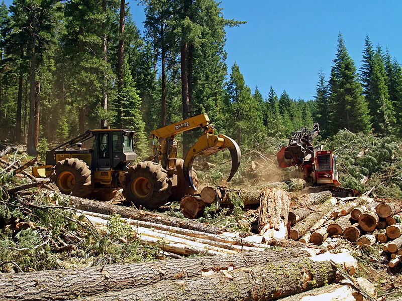 Logging Within Your Application