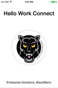 iOS: Use Custom URL Schemes for Enterprise Apps